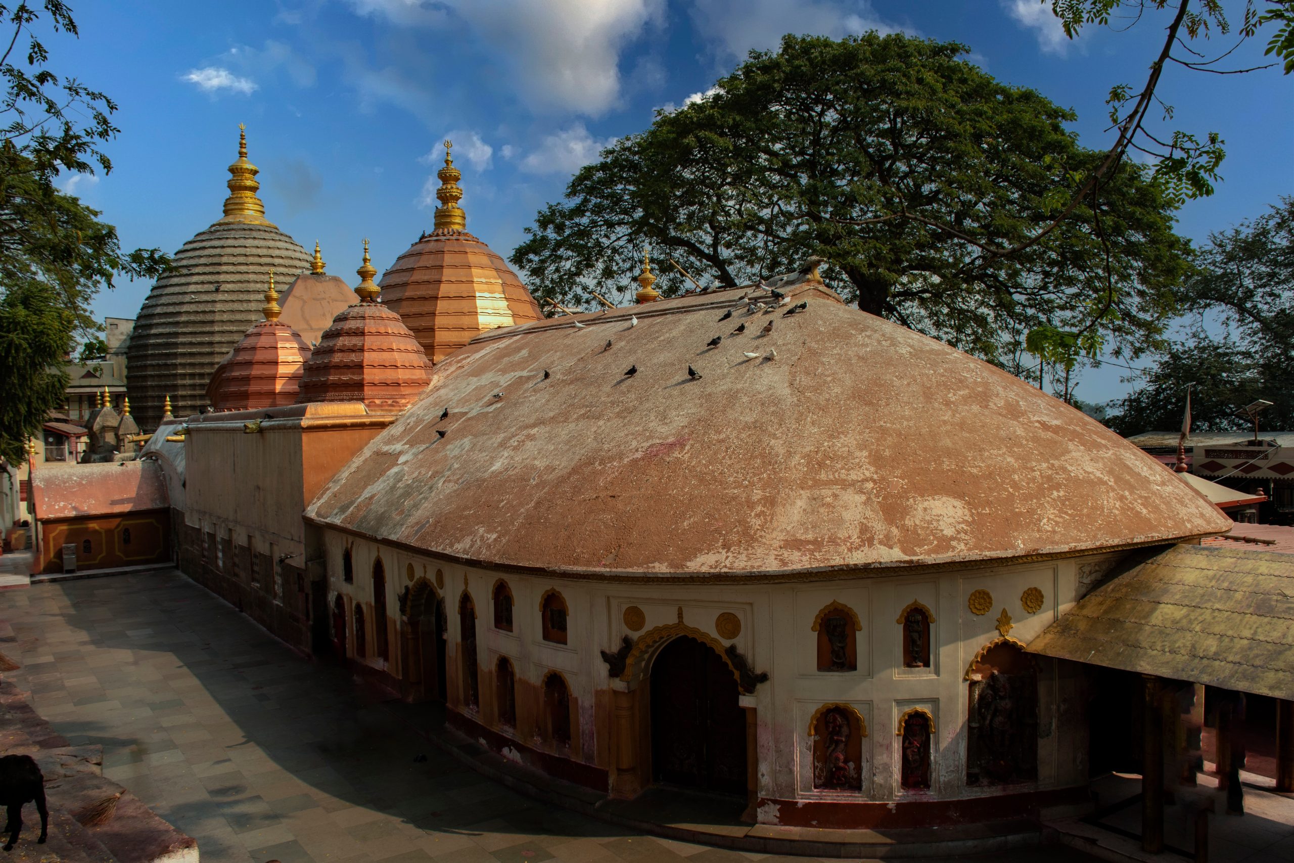 Kamakhya Temple History Timings How To Reach By Train Air Car